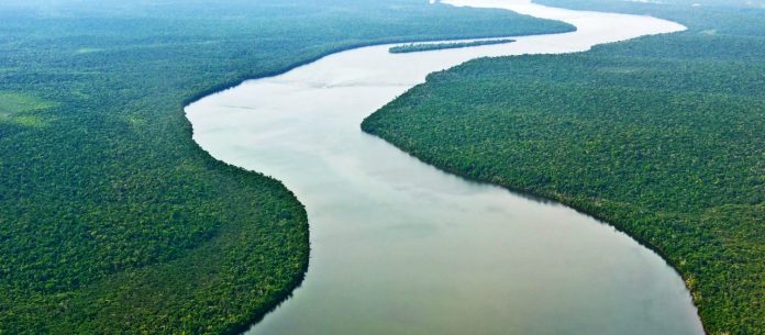 Greatest Amazon River is Home to Several Extremes- Charismatic Planet