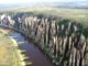 The Tails of Wonders “Lena’s Stone Forest” in Russia - Charismatic Planet